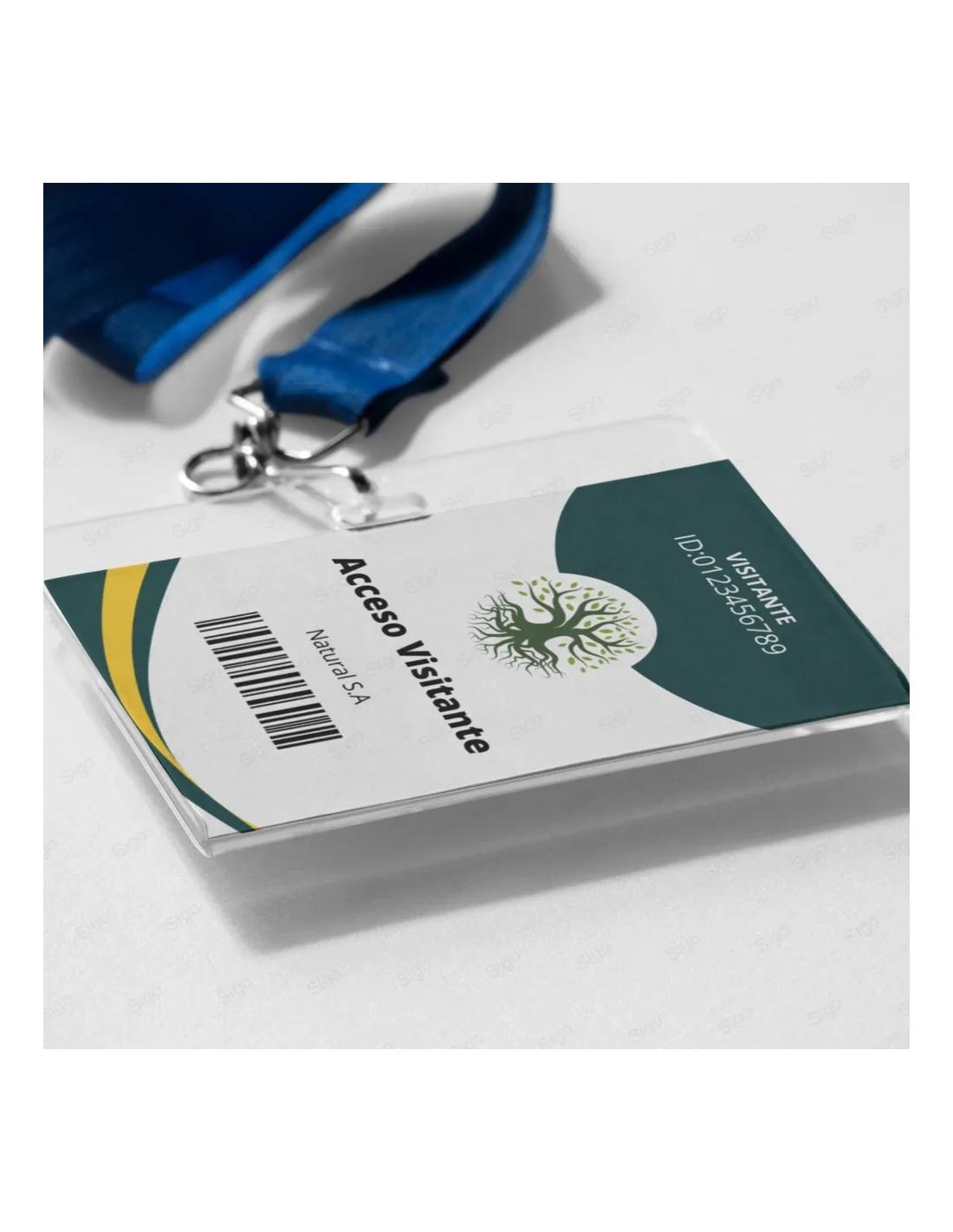 Carnet Acceso Visitantes