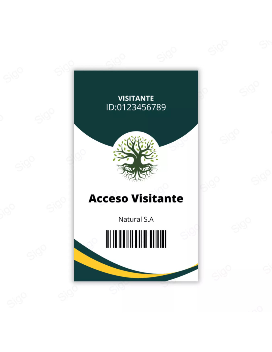 Carnet Acceso Visitantes
