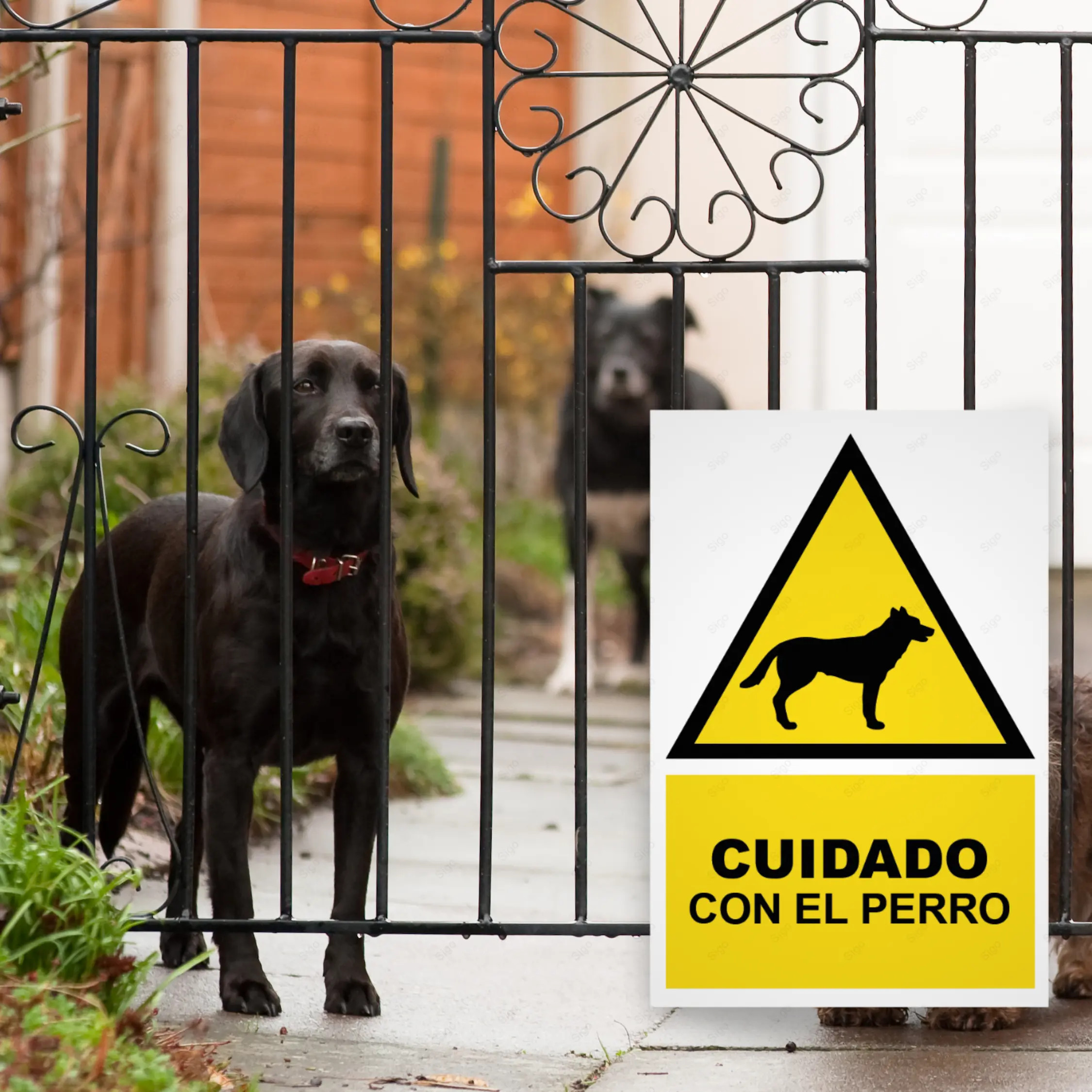 Rótulo Atención: Cuidado con el perro... | SIGO